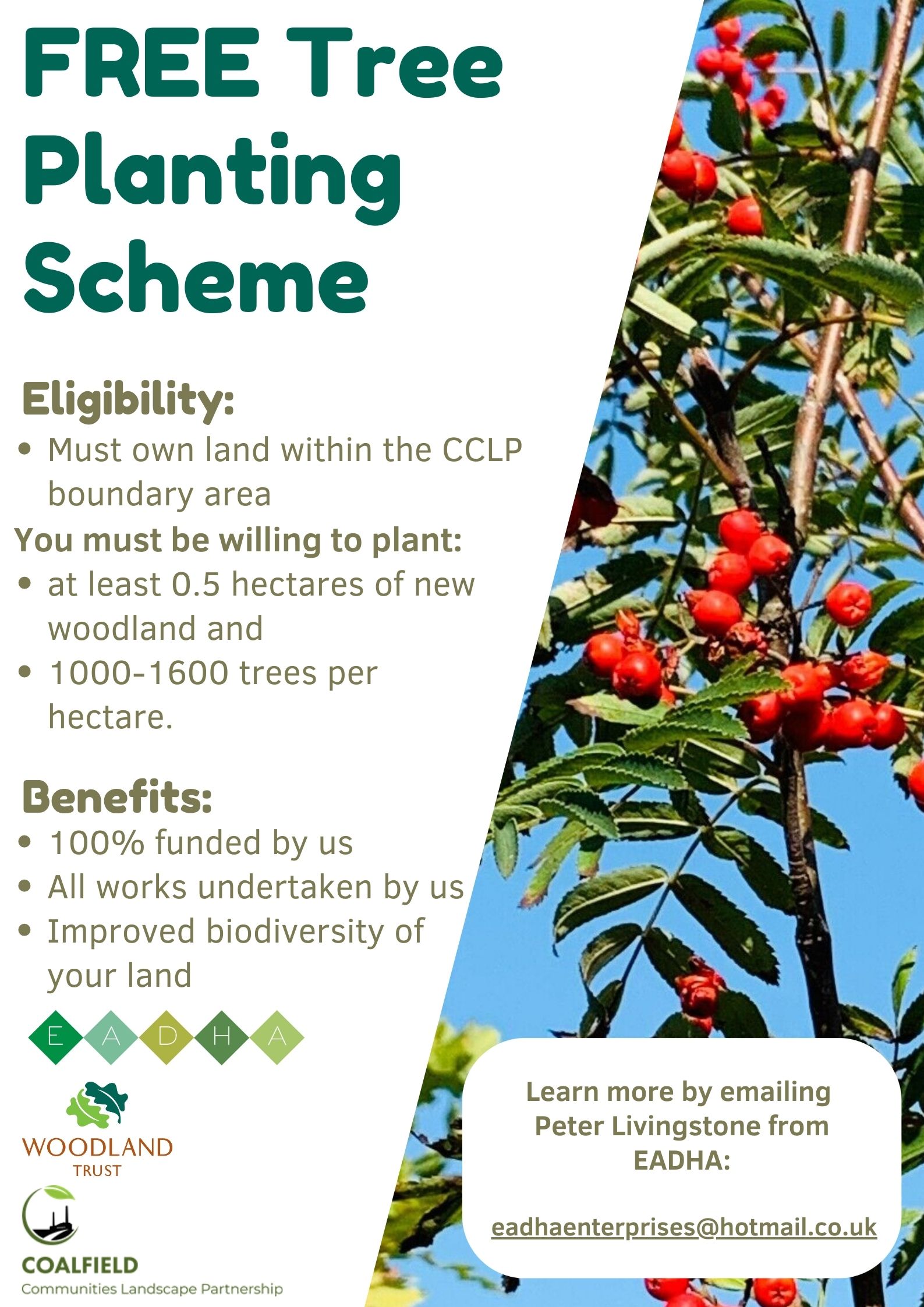 Free Funding for Tree Planting Still Available - Coalfield Communities